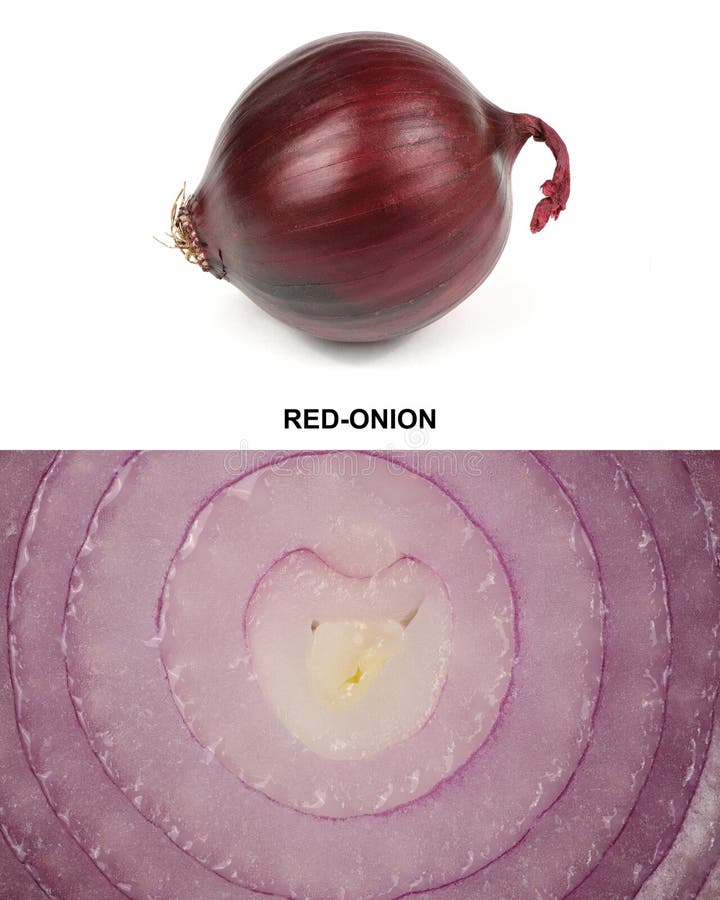 Creative Layout Made of Red Onion. High Resolution Photo Stock Image ...