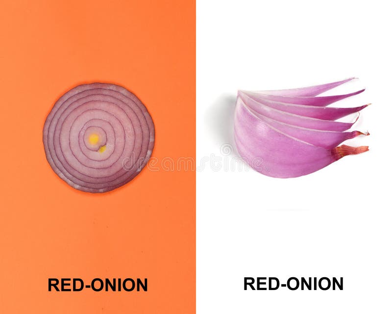 Creative Layout Made of Red Onion. High Resolution Photo Stock Image ...