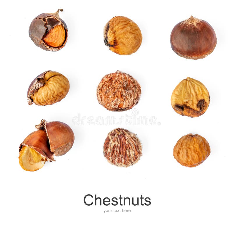 Chestnuts Isolated on White Background. Chestnut Top View. Flat Lay ...