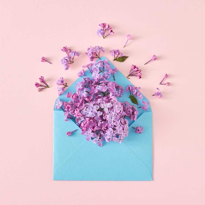 Creative Layout Made with Spring Flowers on Pastel Pink Background and ...