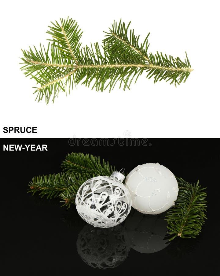 Creative Layout Made of Spruce Branch and Christmas Decorations Stock ...