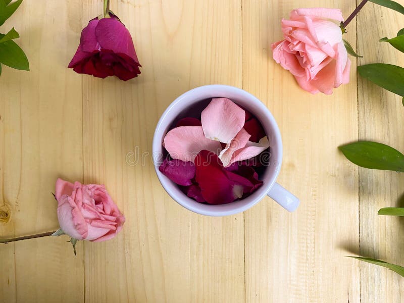 Creative Layout Made of Tea Cup with Rose Petals Stock Image - Image of ...