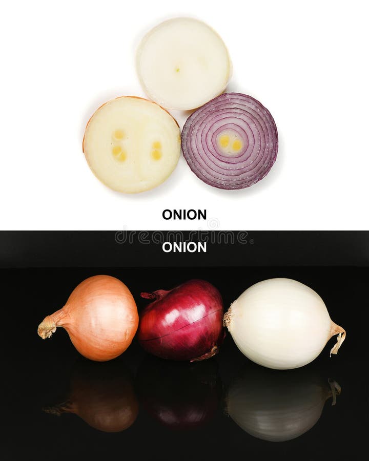 Creative Layout Made of Three Onion Bulbs of Different Colors Red ...