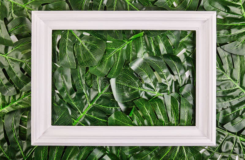 Creative Layout Made of Tropical Leaves with Vintage Frame Stock Photo ...