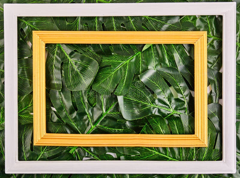 Creative Layout Made of Tropical Leaves with Vintage Frame Stock Image ...