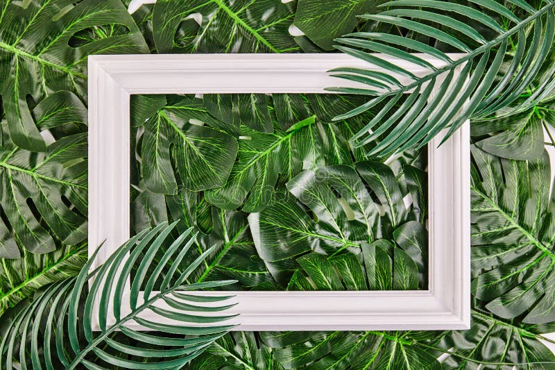 Creative Layout Made of Tropical Leaves with Vintage Frame Stock Image ...