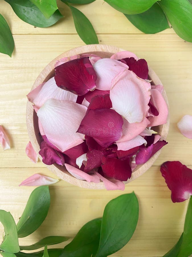 Creative Layout Made of Wooden Bowl with Rose Petals Stock Image ...