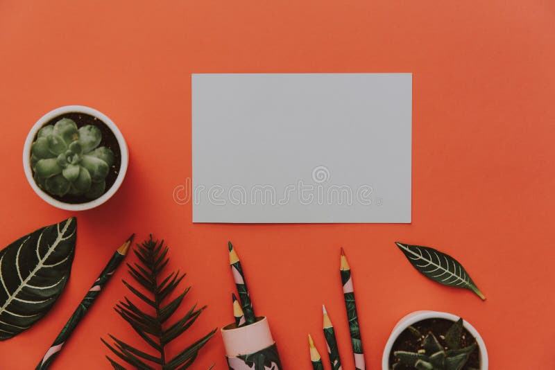 Creative Layout with Tropical Leaves, Empty Blank and Pencils. Stock ...