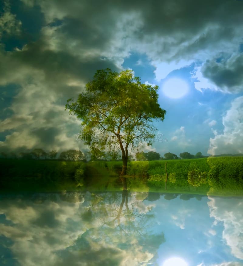Creative Manipulated Shot of Tree in the Fields Along with Reflection ...