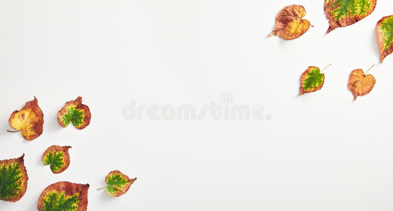 Creative Minimal Autumn Concept Stock Image - Image of minimalistic ...