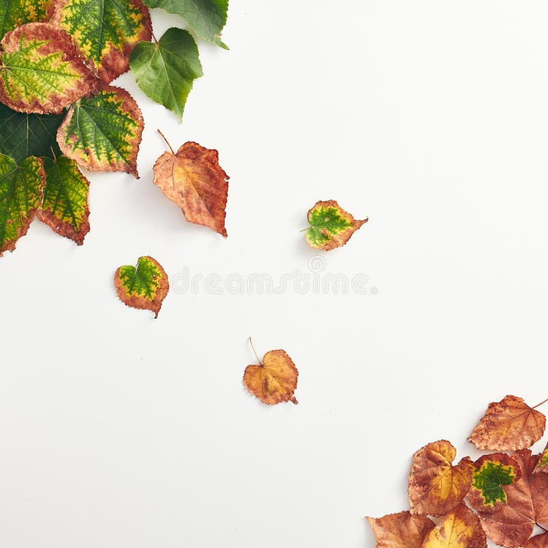 Creative Minimal Autumn Concept Stock Photo - Image of holiday ...
