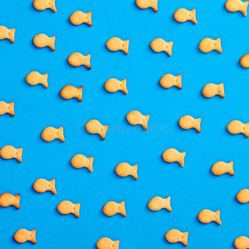 Creative Minimal Food Layout Stock Image - Image of blue, crispy: 154673825