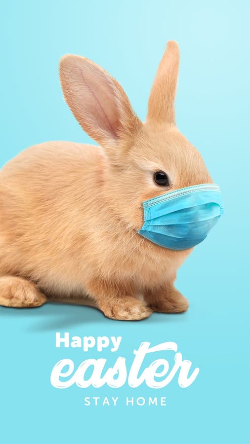 Creative Minimal Happy Easter Layout Colorful Eggs and the Text Message ...