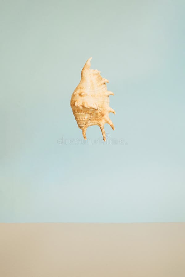 Creative Minimal Idea with Seashell on a Summer Background.abstract ...