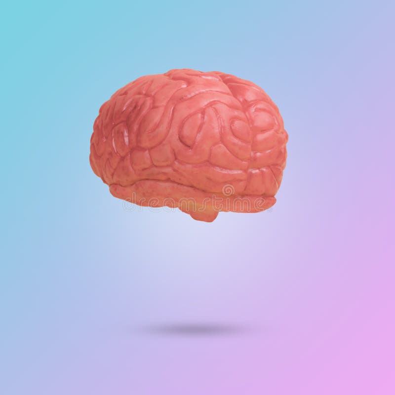 Creative Minimal Scene with a Human Brain Floating in the Air on a ...