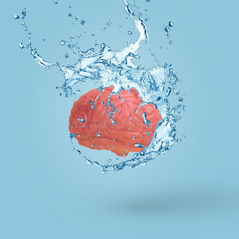 Creative Minimal Scene with a Human Brain and Water Splash Stock Image ...