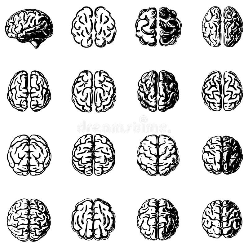 Creative Modern Vector Brain Logo Set. Silhouette Brain Icon. Stock ...