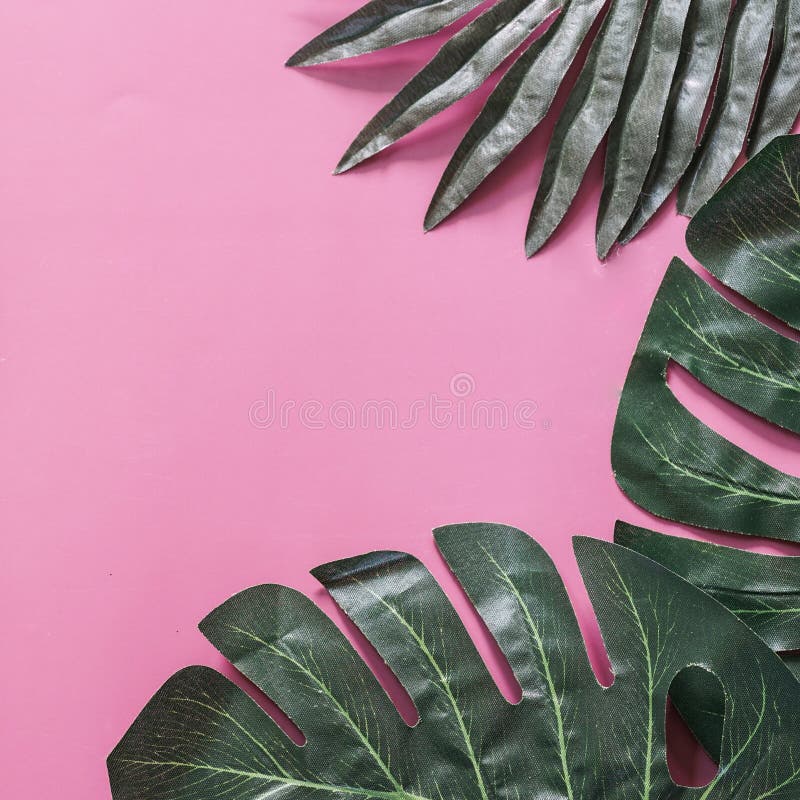 Creative Nature Layout Made of Tropical Leaves and Flowers. Stock Image ...