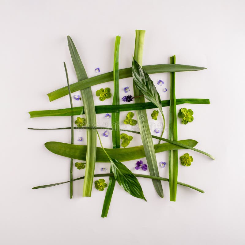 Creative Net Layout Made of Violets and Leaves on the White Background ...