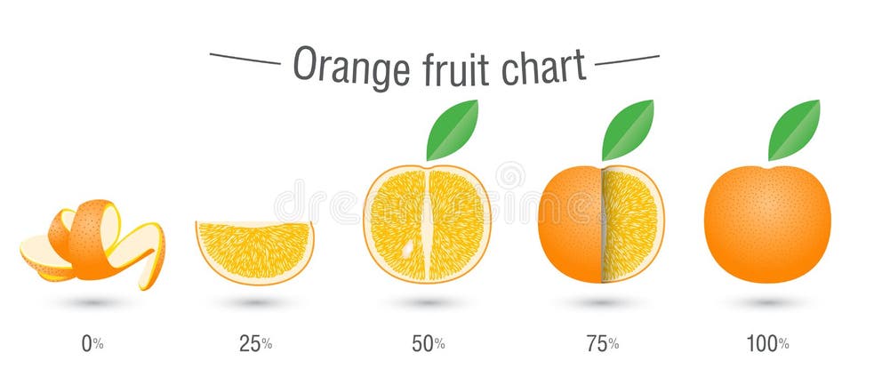 Creative Orange Fruit Chart Stock Vector - Illustration of sign, symbol ...