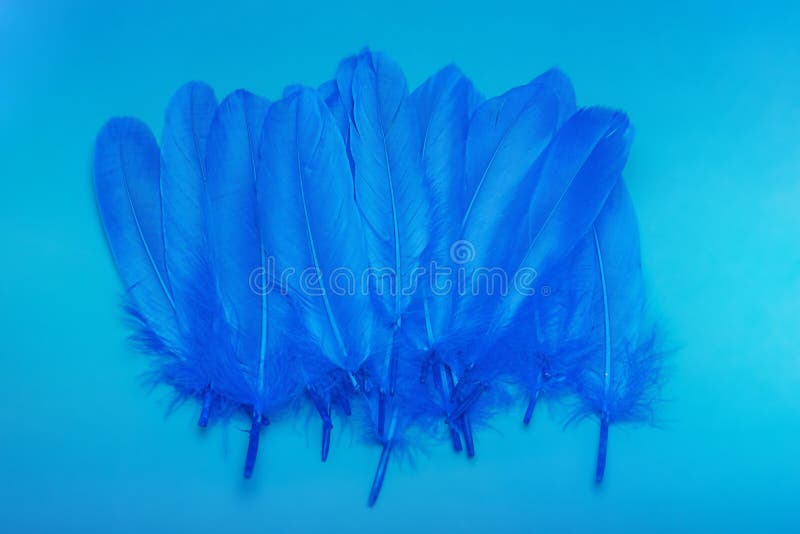 Blue Feathers Macro Photo on a Blue Background. Creative Painted ...