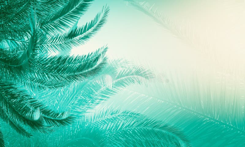 Creative Palm Tree Backdrop Stock Image - Image of fashion, design ...