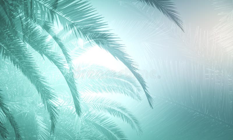 Creative Palm Tree Background Stock Image - Image of exotic, light ...