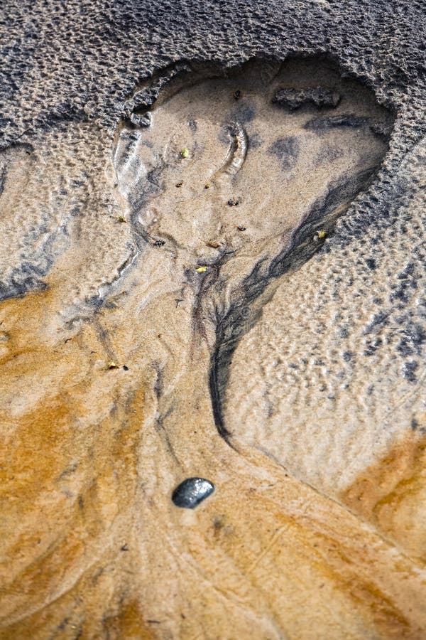 Creative Patterns and Signs in Beach Sand Stock Image - Image of detail ...