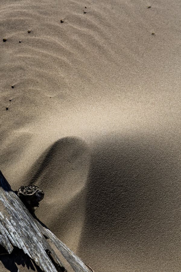 Creative Patterns and Signs in Beach Sand Stock Photo - Image of ...