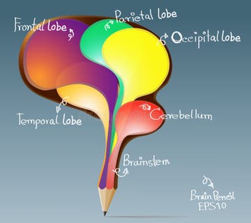 Brain Bubbles Stock Illustrations – 790 Brain Bubbles Stock ...