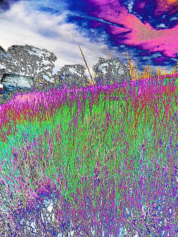 Creative Photography, of Original, Unique Fantasy Coloured Fields and ...