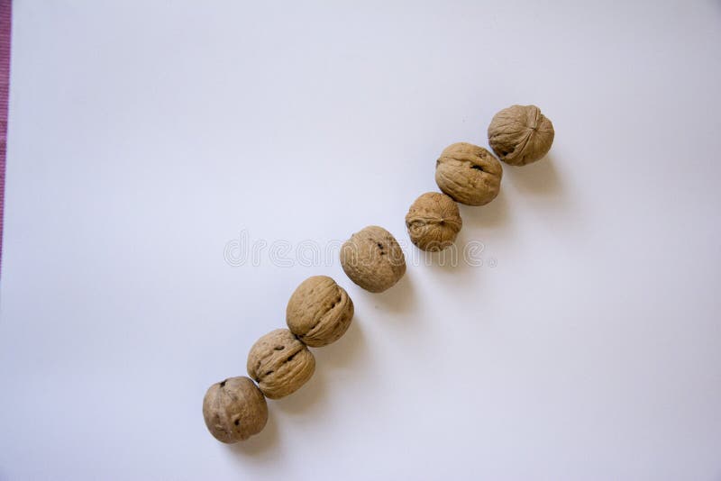 Walnut creativity stock image. Image of mature, blue - 180340059