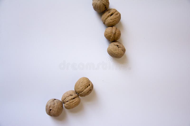 Walnut creativity stock photo. Image of tree, material - 180340084