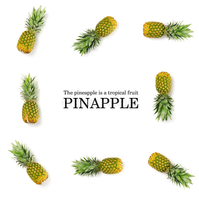 Creative Pineapple Layout with Sample Text. Pineapple on White ...
