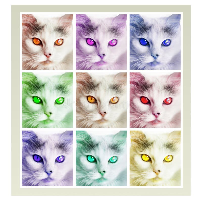 Creative Portrait of a Cat, a Collage of Images in Different Colors ...