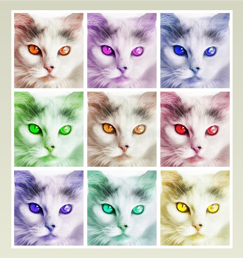Creative Portrait of a Cat, a Collage of Images in Different Colors ...
