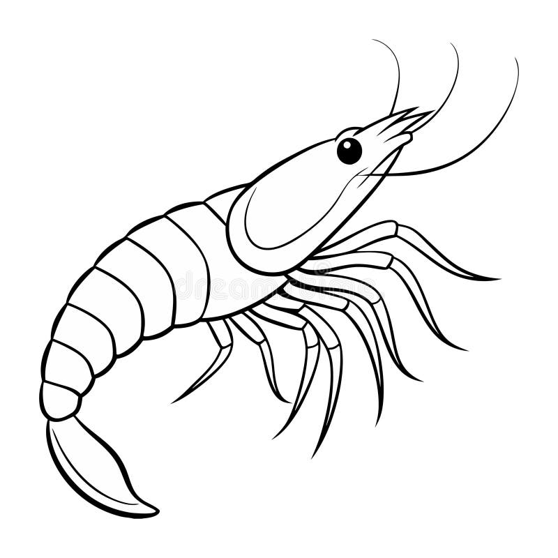 Creative Prawn Vector Art Black and White Stock Vector - Illustration ...