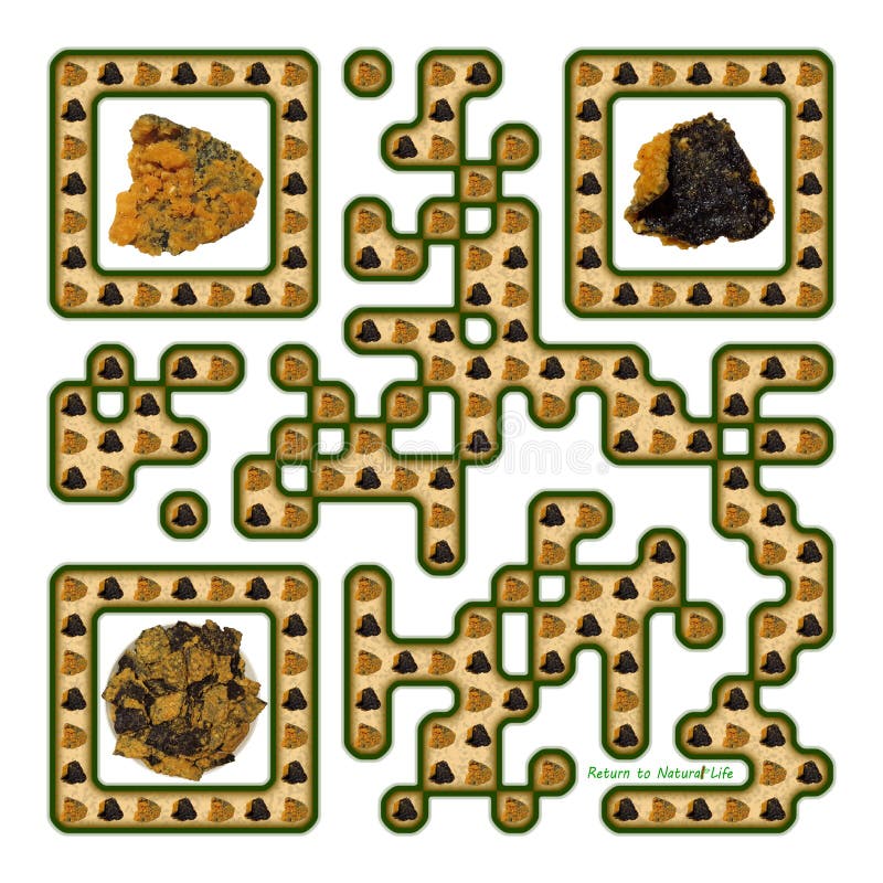 Creative QR Code, Tempura Seaweed, Food and Technology Stock Image ...