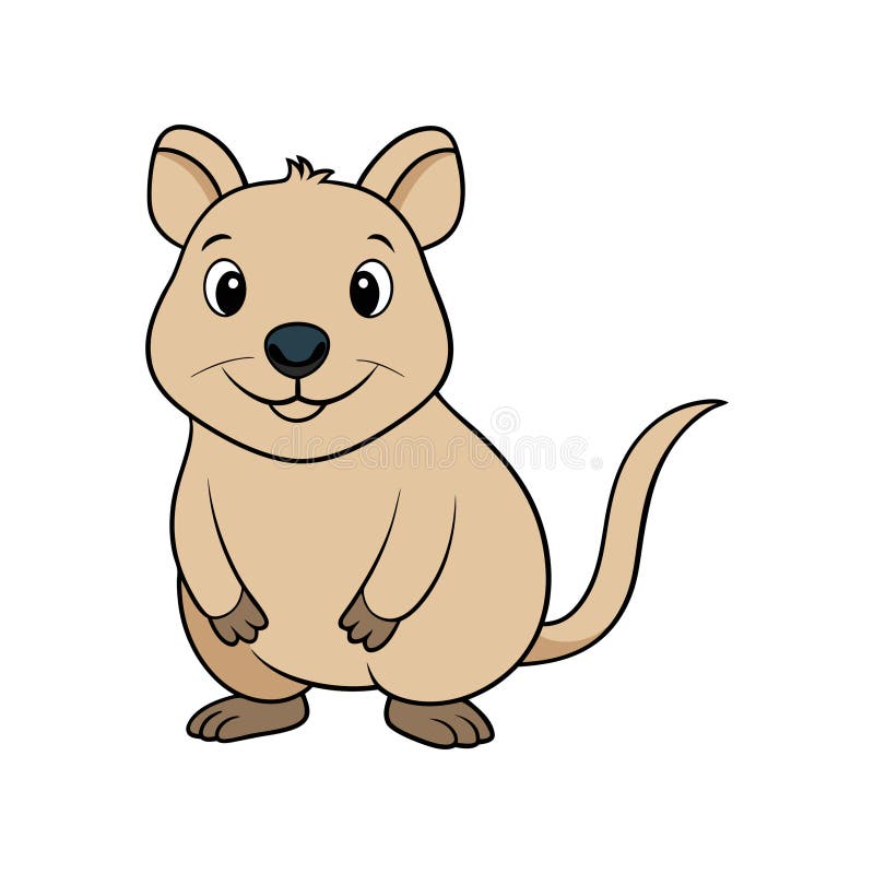 Creative Quokka Coloring Template Stock Illustration - Illustration of ...