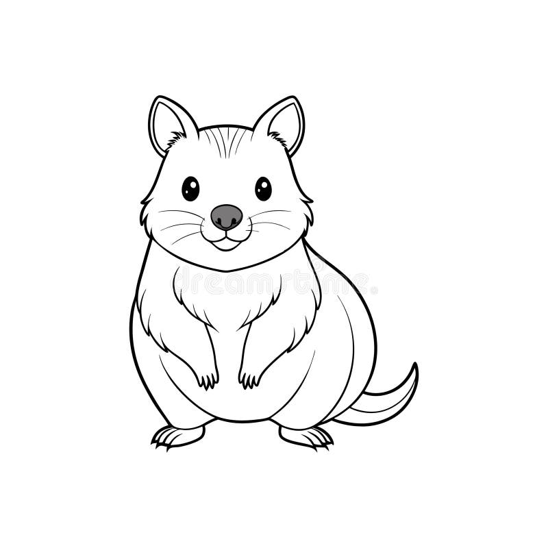 Creative Quokka Coloring Template Stock Photo - Illustration of ...
