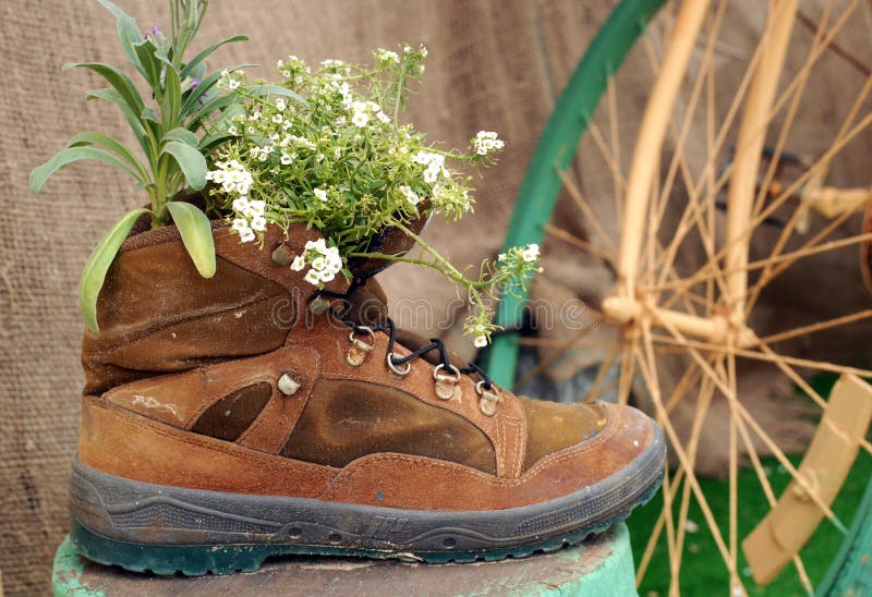 Creative recycling stock photo. Image of flower, trash - 2180534