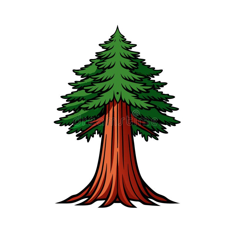 Creative Redwood Tree Bold Artwork Stock Illustration - Illustration of ...
