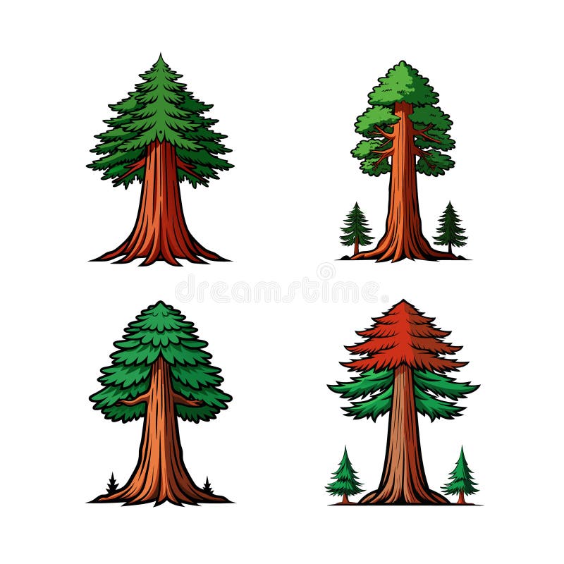 Creative Redwood Tree Bold Artwork Stock Vector - Illustration of ...