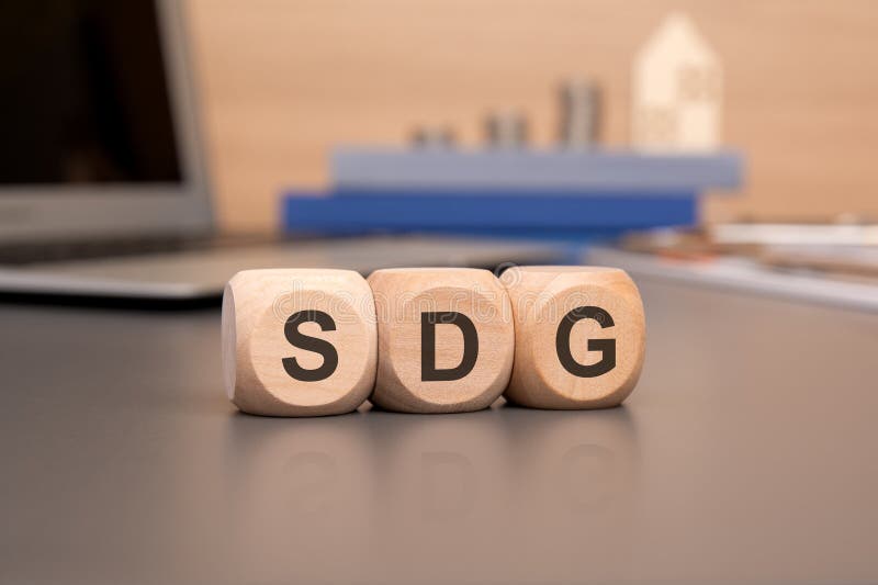 A Creative Representation of Sustainable Development Goals Using Wooden ...