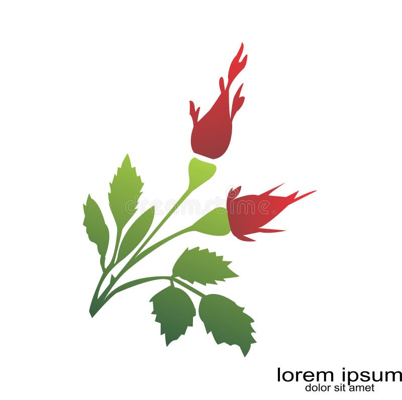 Creative Sample Flower Logo Plant and Garden Stock Vector ...