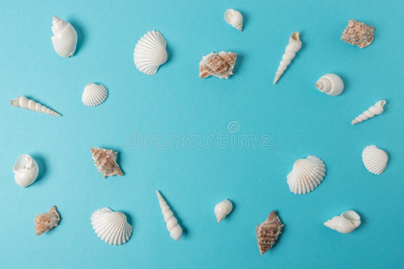 Creative Seashell Pattern on Pastel Blue Background with Copy Space ...