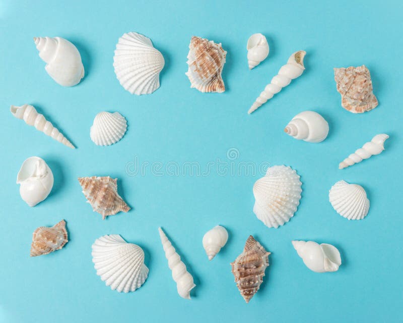 Creative Seashell Pattern on Pastel Blue Background with Copy Space ...