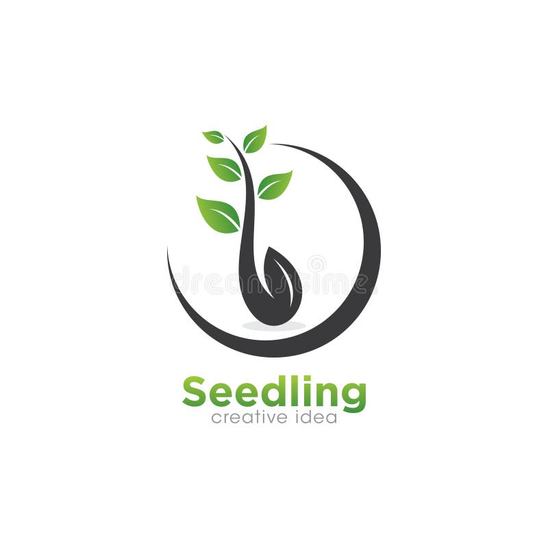 Creative Seed Concept Logo Design Template Stock Vector - Illustration ...