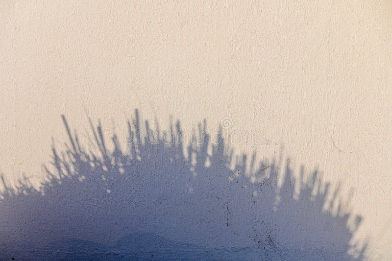 Creative Shadow Art Formed by Spiky Objects Casting Intricate ...