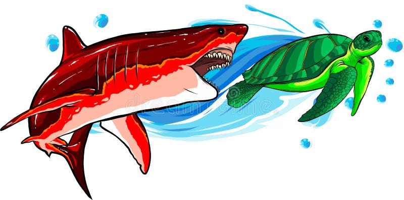 Creative Shark Attack - Vector Illustration on White Background Stock ...